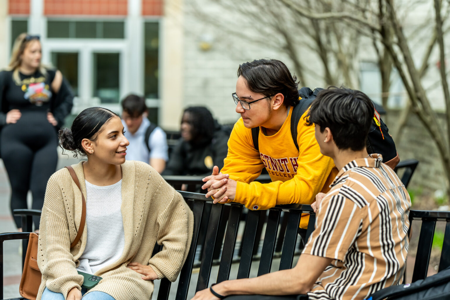 Housing - Chestnut Hill College